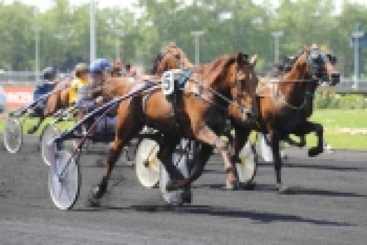Pronostic gratuit du PRIX DE MORANGIS - 3 août 2025 par Canalturf