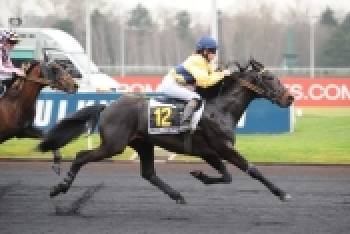 Actualité courses hippiques - Prix des Elites, dimanche à Vincennes ...