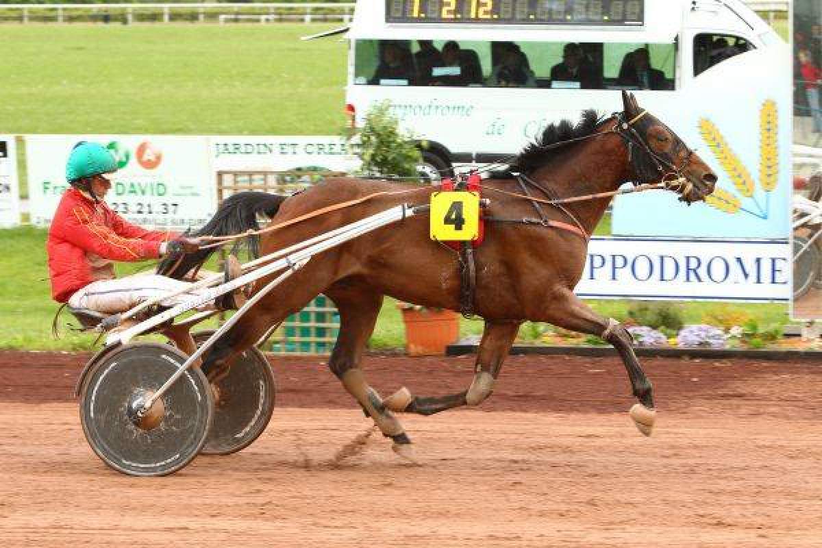 CARMIN - La fiche CANALTURF du cheval, performances pmu, pédigré ...
