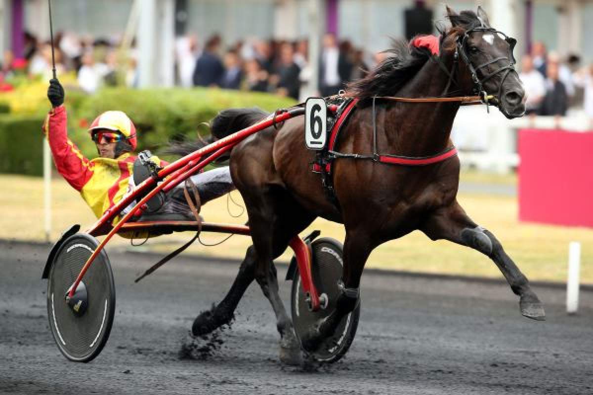 Pronostic gratuit du PRIX EFIKA SOLUTIONS - 20 oct. 2025 par Canalturf