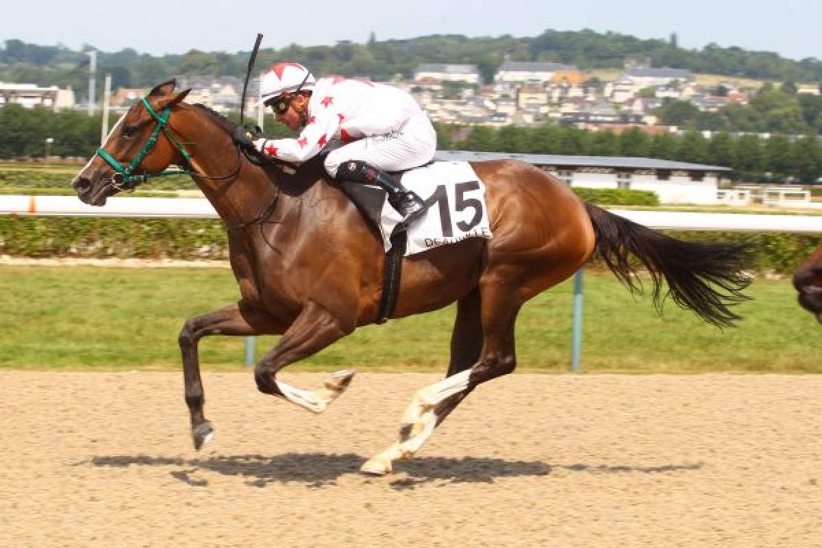 ISMANE - La fiche CANALTURF du cheval, performances pmu, pédigré ...