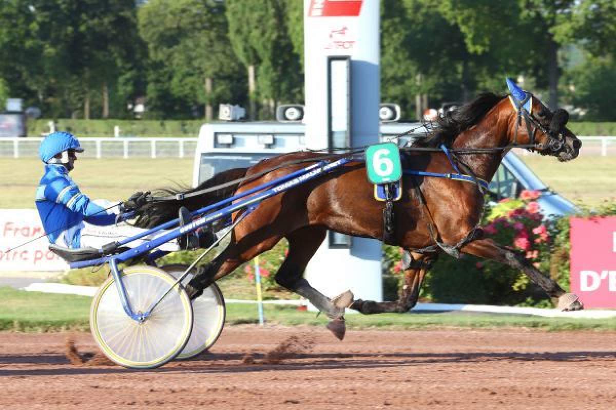 CENTAURE FROMENTRO - La fiche CANALTURF du cheval, performances pmu ...