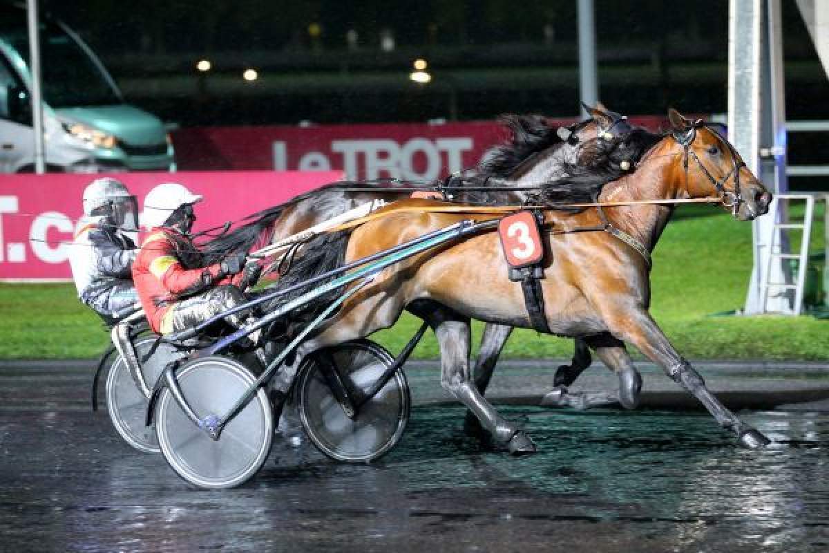 Trot. Le champion suédois READLY EXPRESS attendu cet hiver à Vincennes