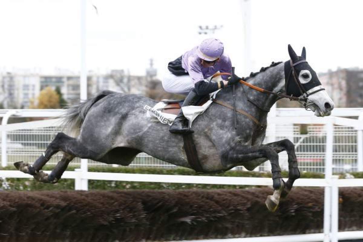 QUICK GLOTE - La fiche CANALTURF du cheval, performances pmu, pédigré ...