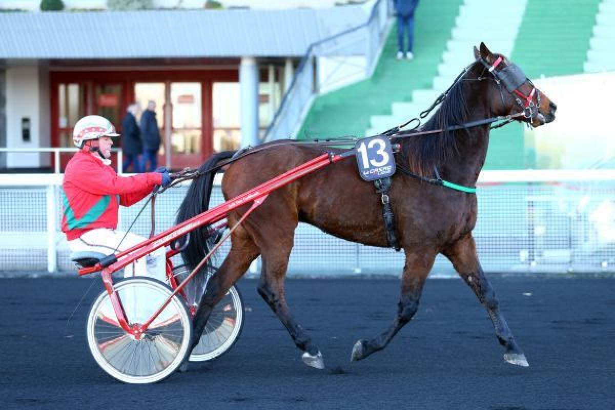 UTELO DE CARENTONE - La fiche CANALTURF du cheval, performances pmu ...