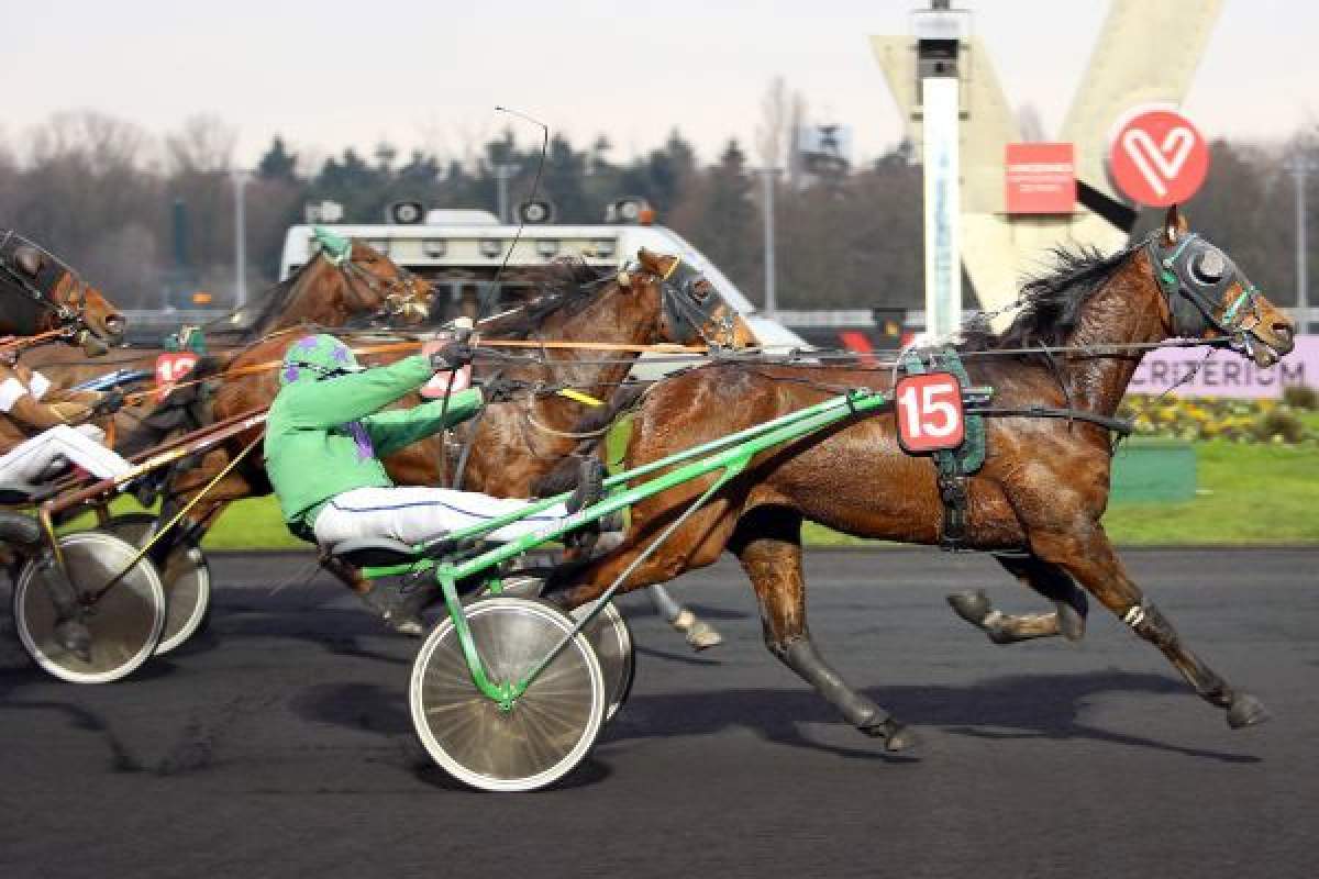 Jeudi à Enghien (R-4). Stéphane Prioul : Je le préfère sur les tracés ...