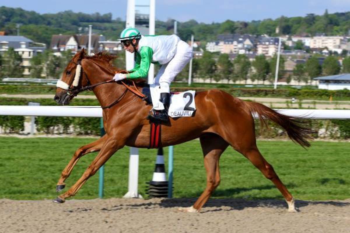 Samedi à Nantes (Réunion III). Claude le Lay : J’ai cette course en ...