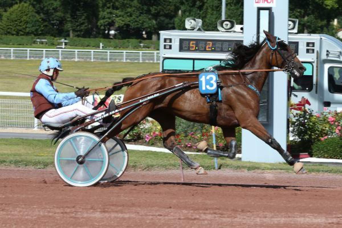 CHERIE QUICK - La fiche CANALTURF du cheval, performances pmu, pédigré ...