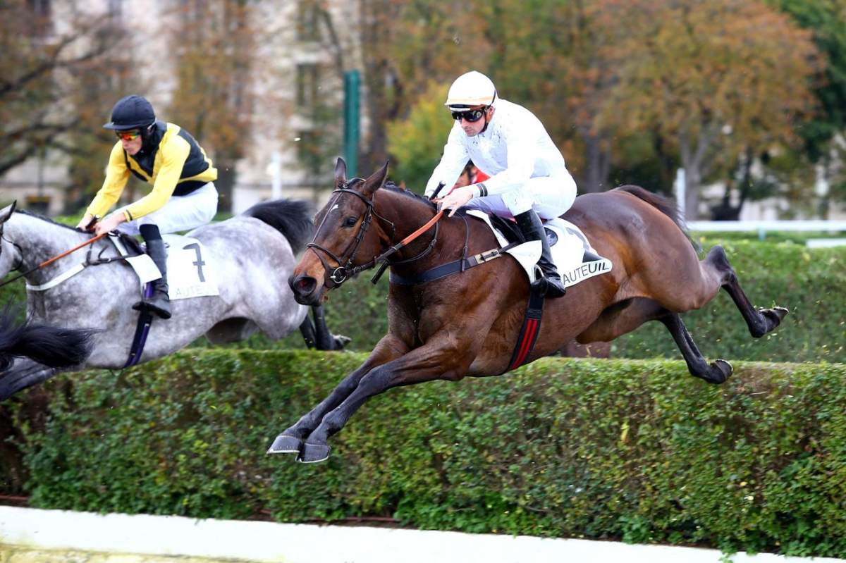 Quinté+ Prix du Président de la République, dimanche à Auteuil. KING ...