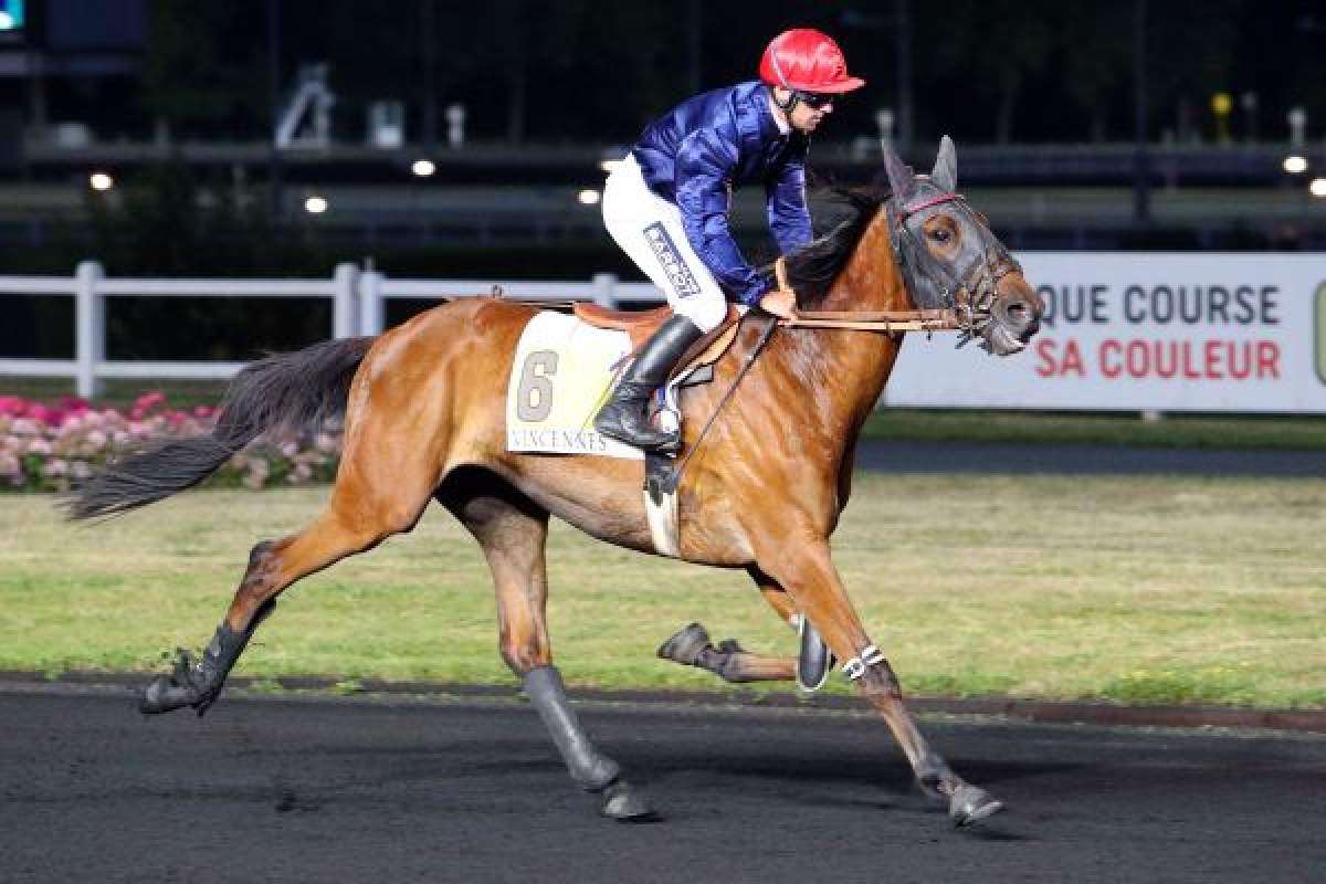 Lundi à Vincennes (R-1). Jean-Pierre Allix : Il va se plaire pieds nus...
