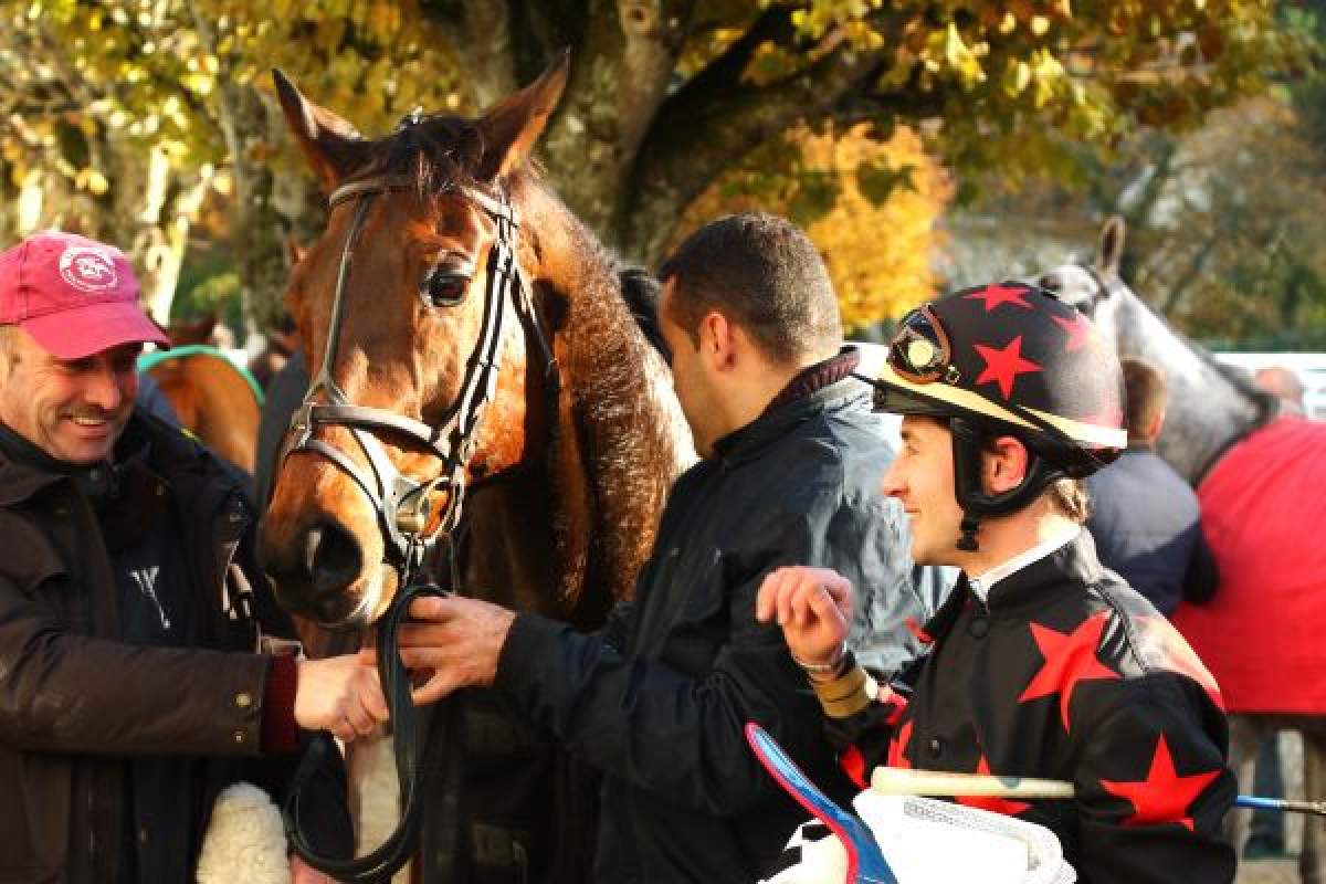 Quinté+ Prix Hubert de Catheu, jeudi à Fontainebleau. AMADEUS WOLFE ...