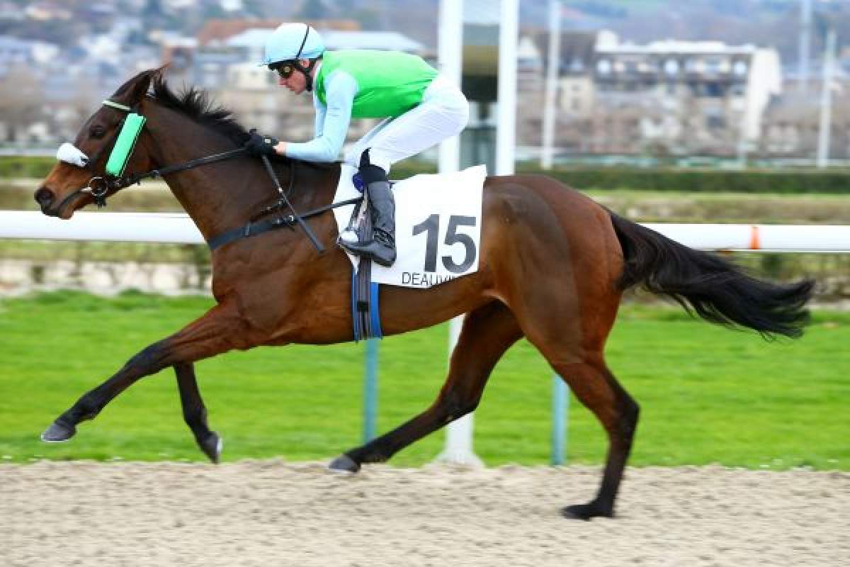 DARRELL RIVERS - La fiche CANALTURF du cheval, performances pmu ...