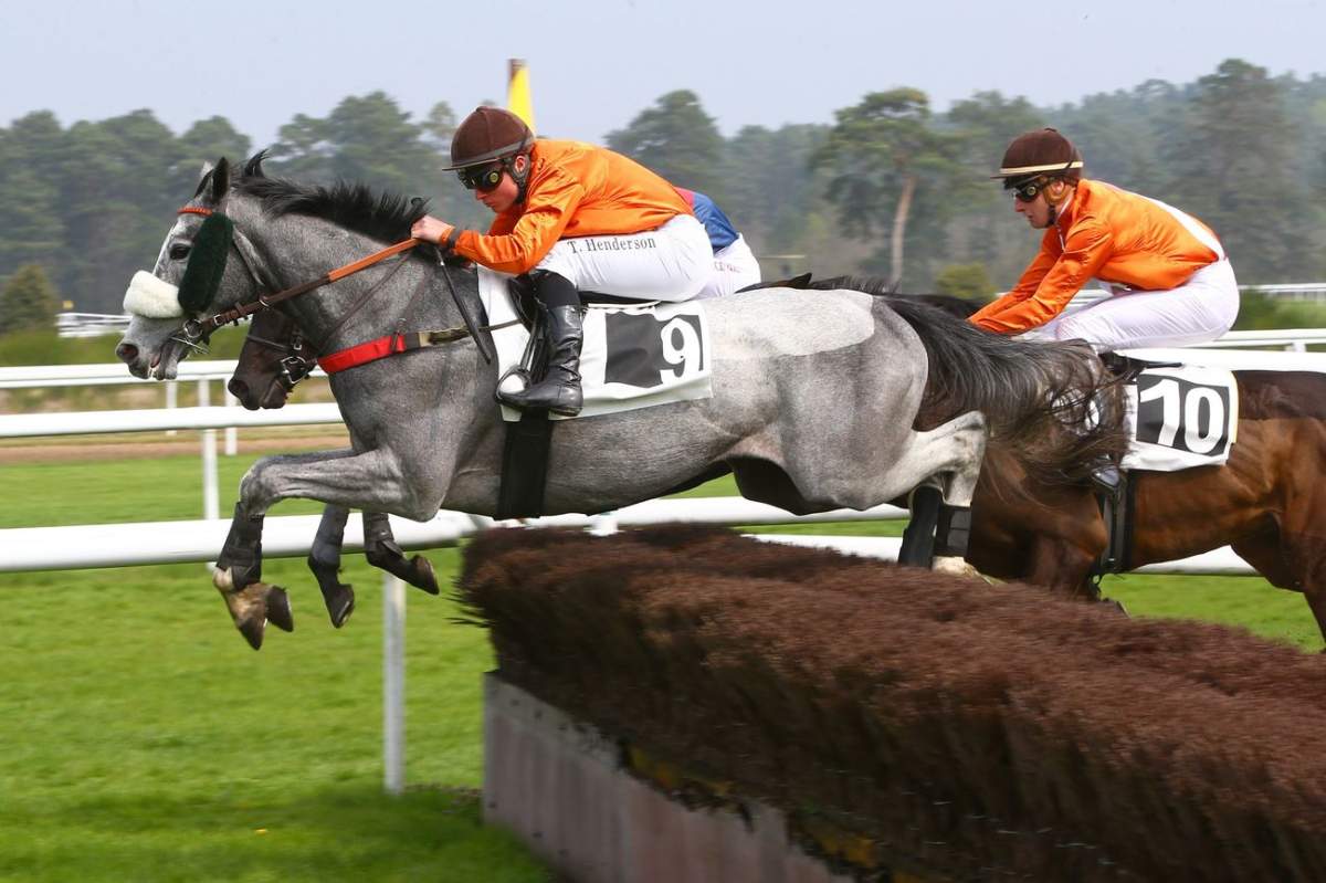 Pronostic gratuit Quinté+ Pmu Prix Auguste de Castelbajac, mardi à Pau ...