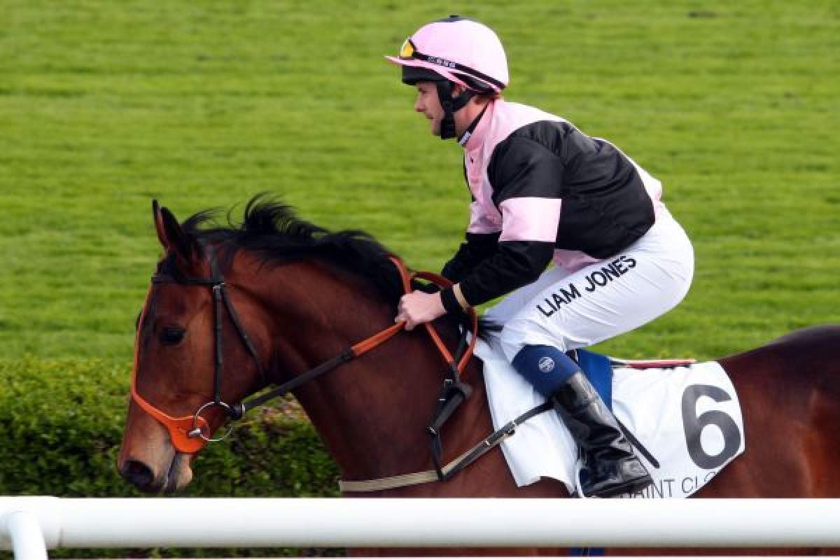 QUICK SKIPS LAD - La fiche CANALTURF du cheval, performances pmu ...