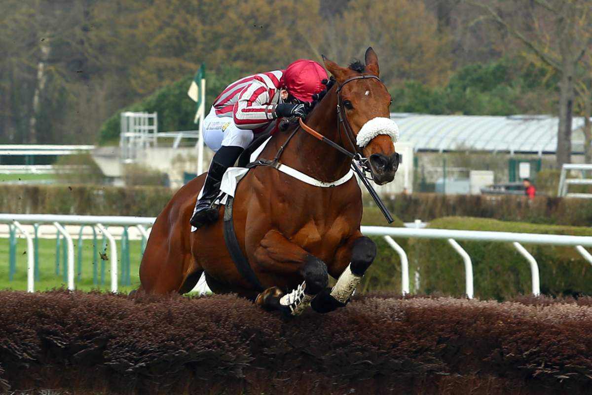 Samedi à Auteul (R-1), Prix de Marsan (Listed Race). LOU BUCK'S reste ...