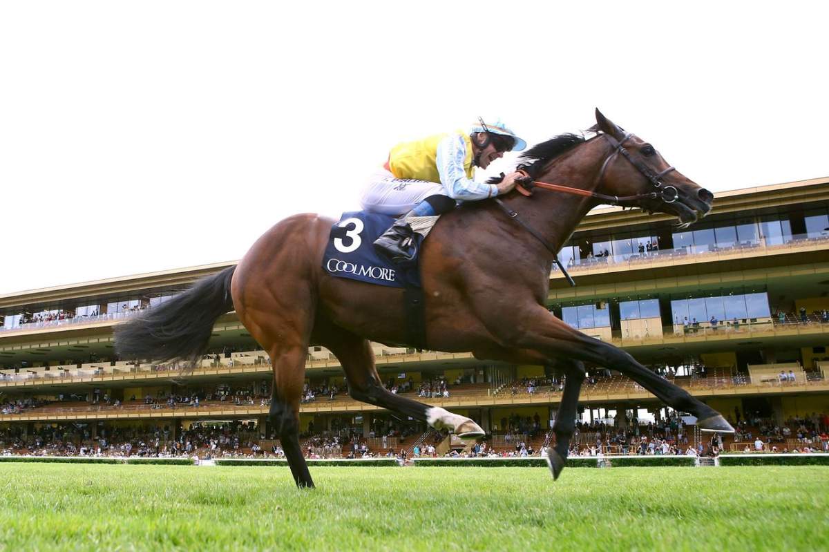 Pronostic gratuit du PRIX DU CHEVAL DE HORSE-BALL (PRIX DE LA HETRAIE ...