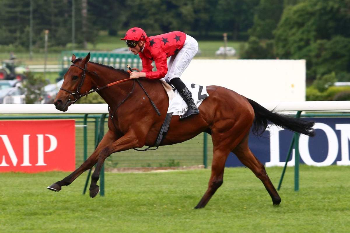 OBELOS - La fiche CANALTURF du cheval, performances pmu, pédigré ...