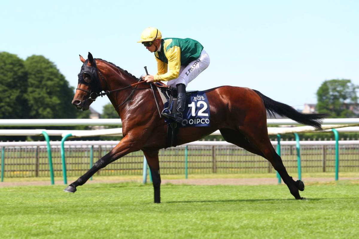 STABLE GENIUS - La fiche CANALTURF du cheval, performances pmu, pédigré ...