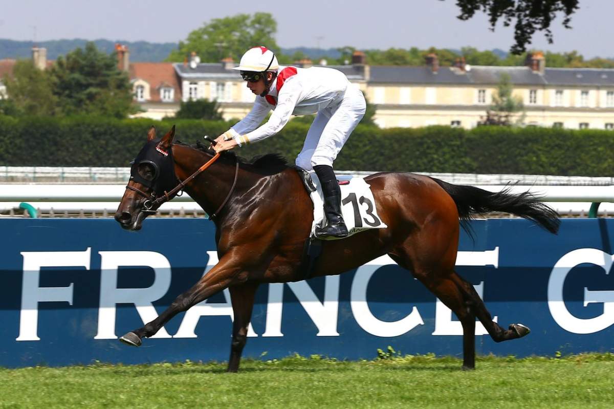 RED VANCOUVER - La fiche CANALTURF du cheval, performances pmu, pédigré ...