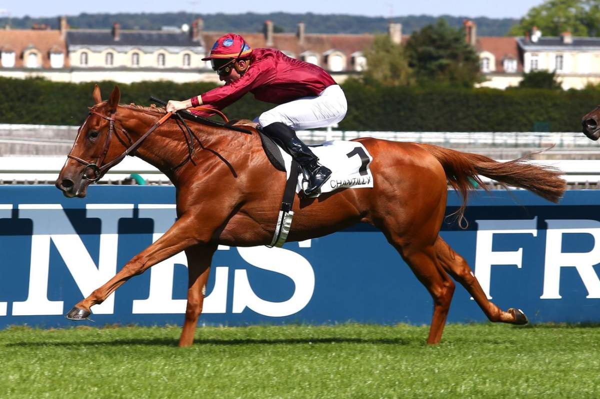 SUPHALA - La fiche CANALTURF du cheval, performances pmu, pédigré ...