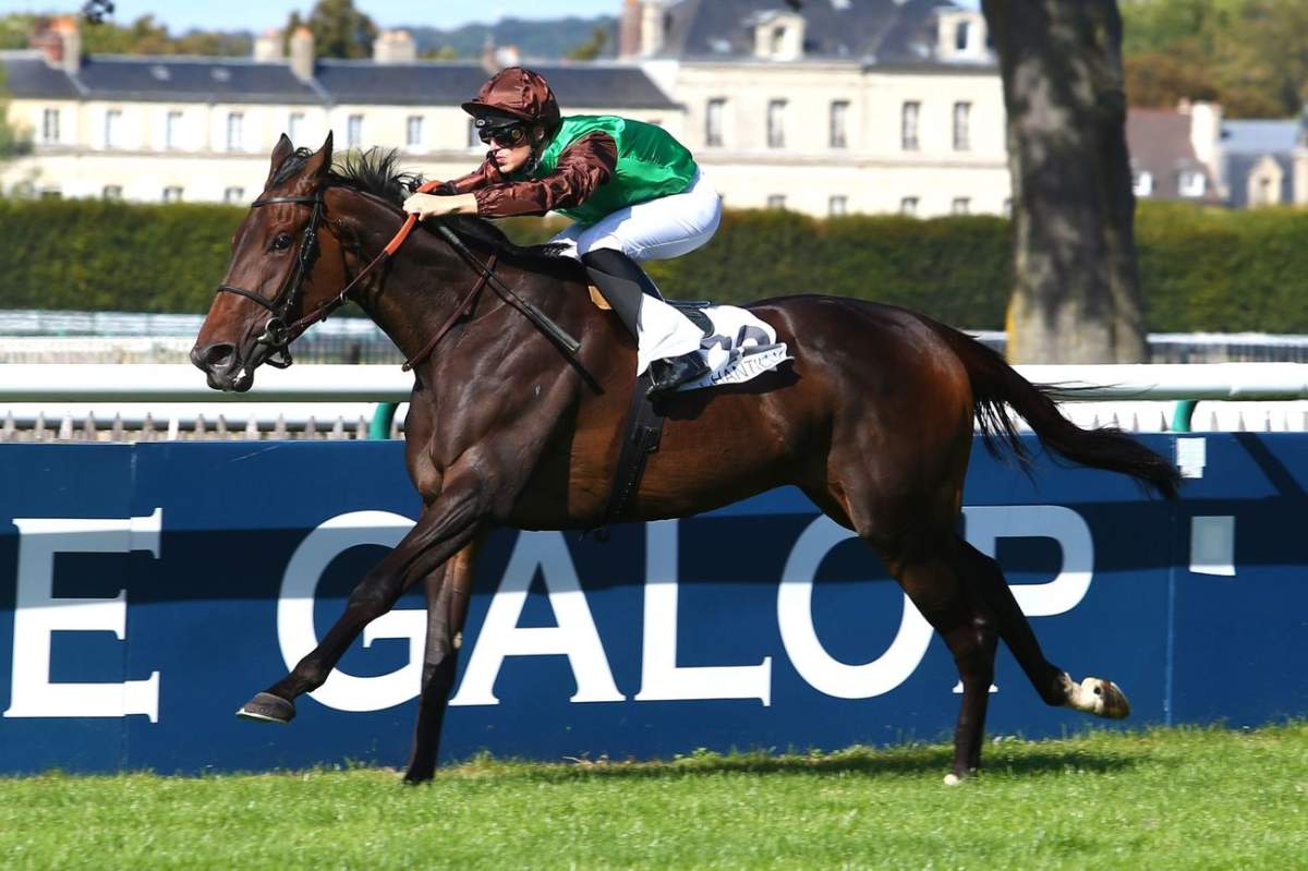 IMAGINARY MOVE - La fiche CANALTURF du cheval, performances pmu ...