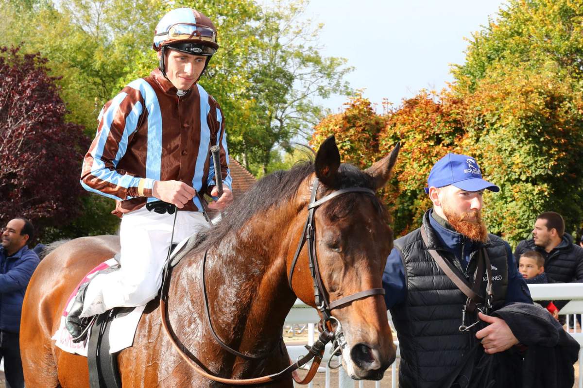 AMADEUS WOLFE TONE - La fiche CANALTURF du cheval, performances pmu ...