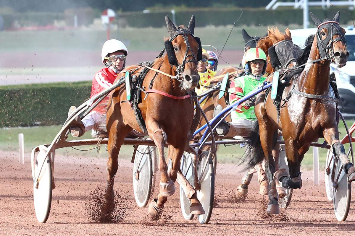 FORREST BOIS MORIN - La fiche CANALTURF du cheval, performances pmu ...