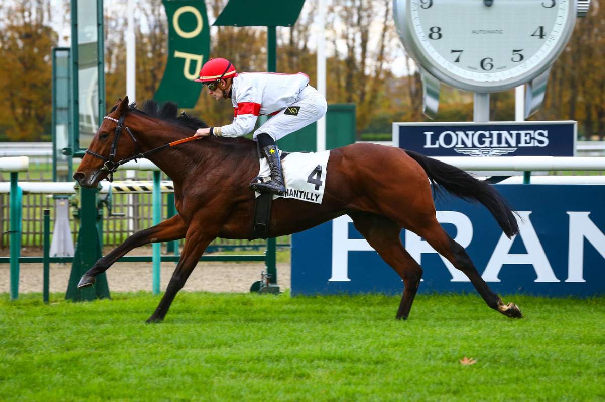 ENJOY THE MOON - La fiche CANALTURF du cheval, performances pmu ...