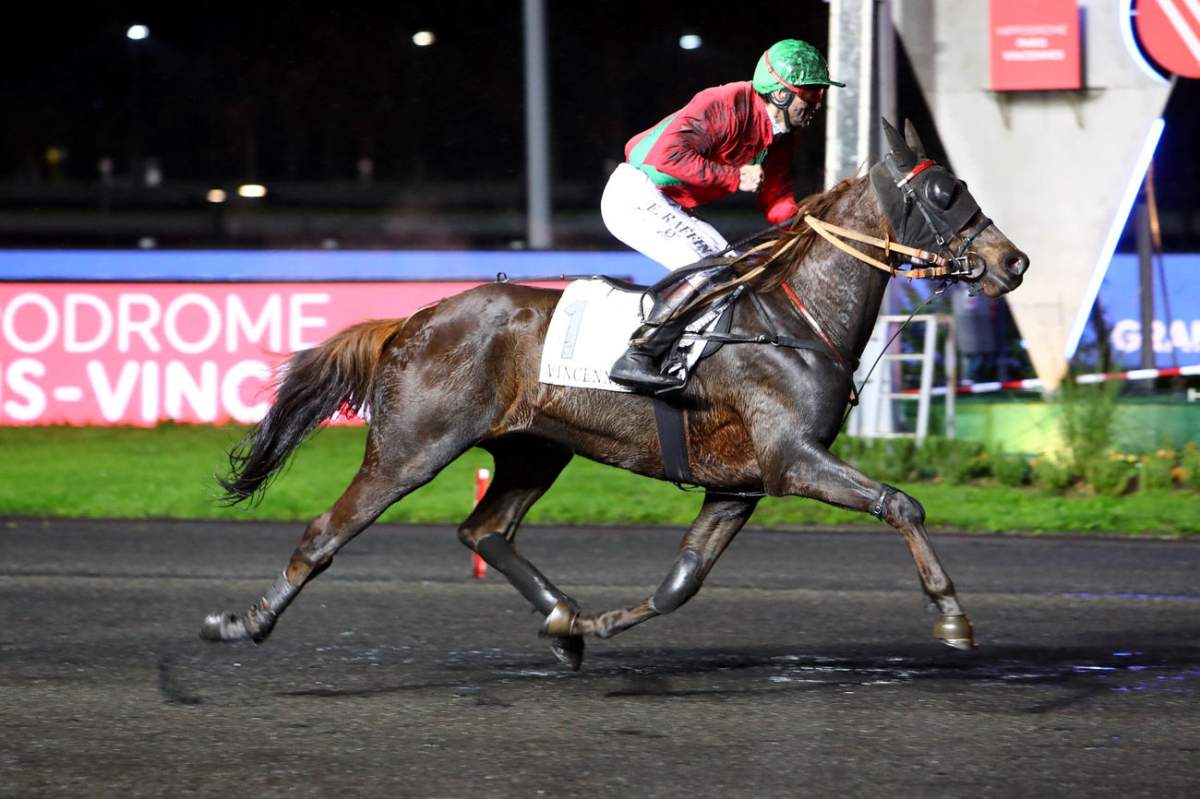 GROGNARD DU BOURG - La fiche CANALTURF du cheval, performances pmu ...