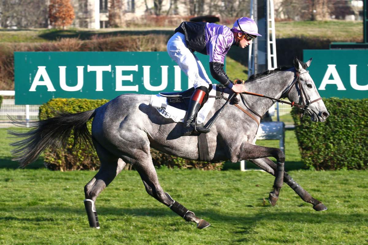 QUICK BEAUTY - La fiche CANALTURF du cheval, performances pmu, pédigré ...