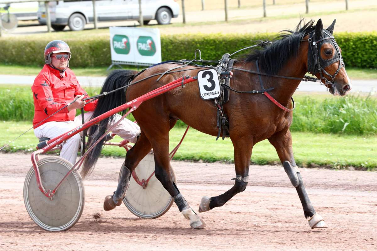 GALION VOLSIN - La fiche CANALTURF du cheval, performances pmu, pédigré ...