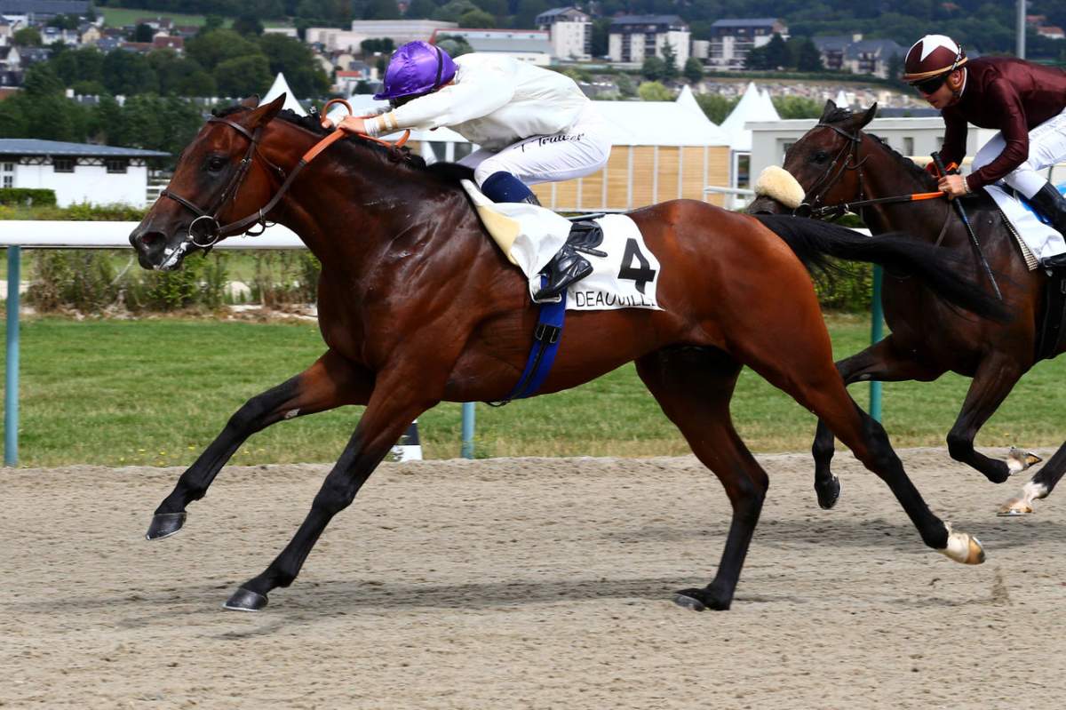 Pronostic gratuit du PRIX DE LA TOUR DE SABRAN - 18 juin 2025 par Canalturf