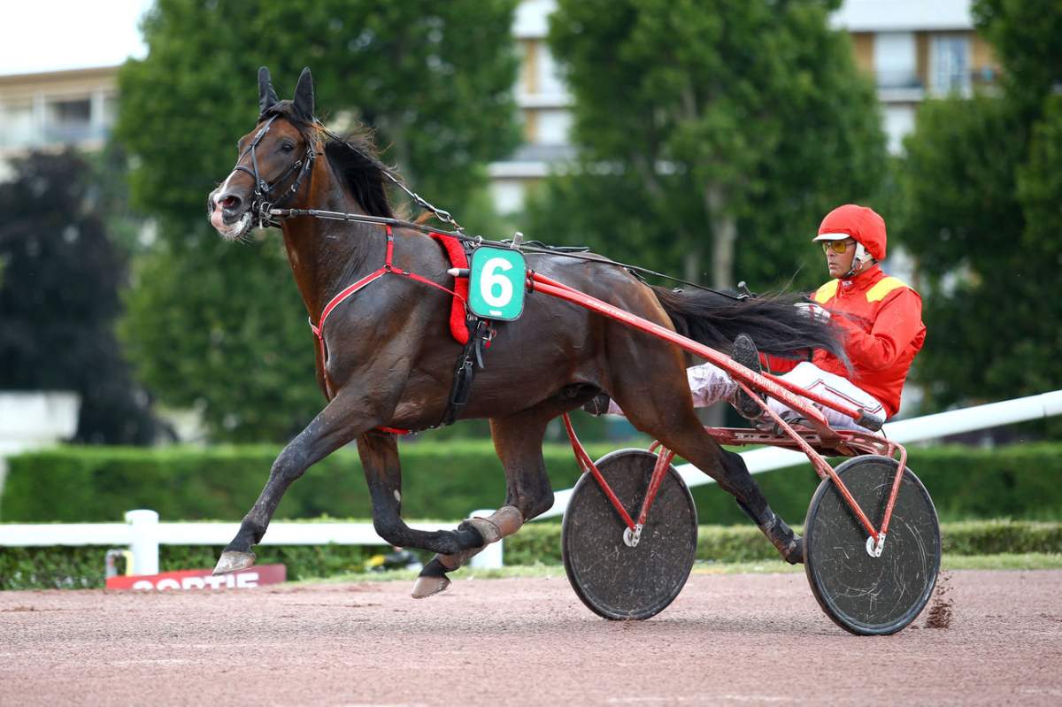 Pronostic gratuit du PRIX JEANNOT FAIZENDE - 25 oct. 2025 par Canalturf