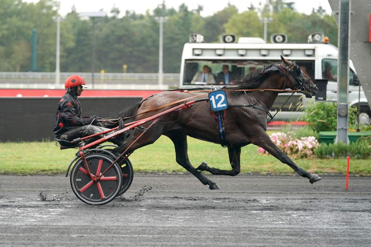 Pronostic gratuit du PRIX DU GETSO - 14 févr. 2026 par Canalturf