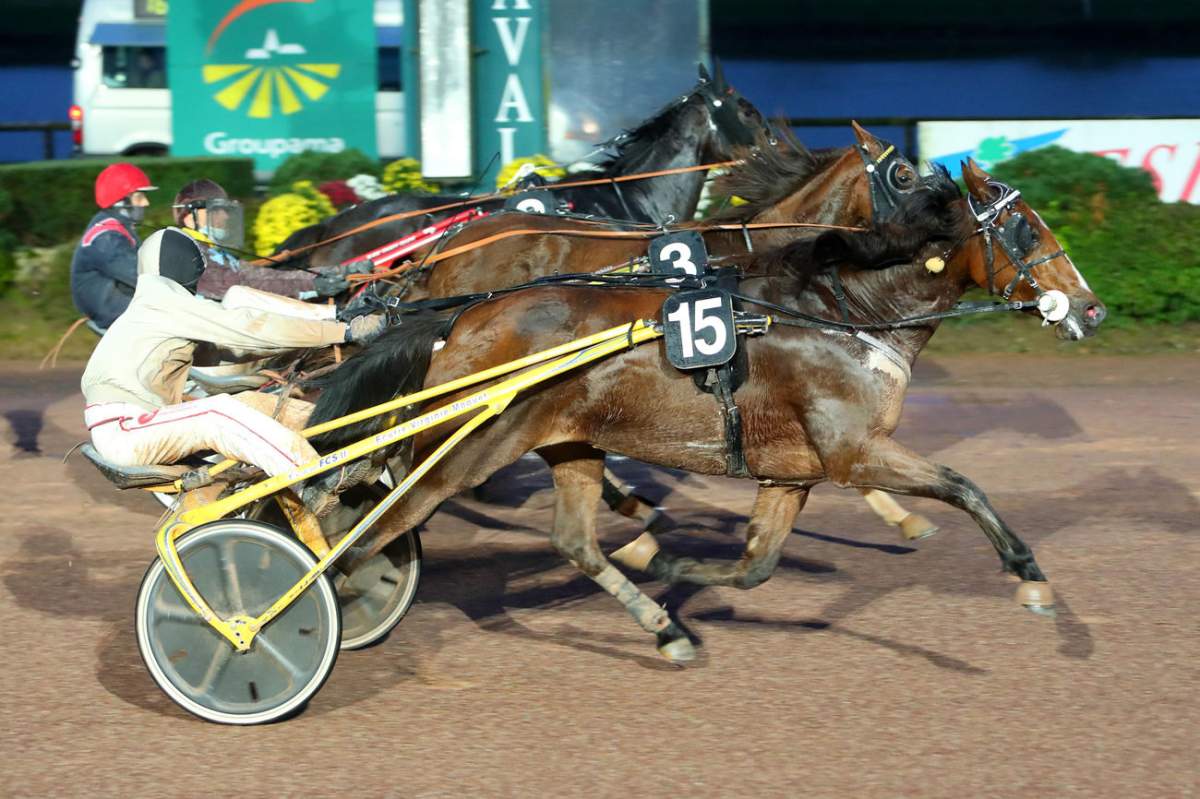Pronostic PMU Quinté+ Prix d'Aubervilliers, lundi à Vincennes. GIPSY DU ...