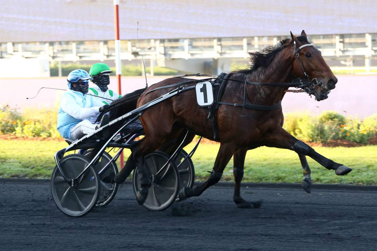Pronostic Quinté+ PMU Prix de la Gironde, dimanche à Vincennes. GRAND ...