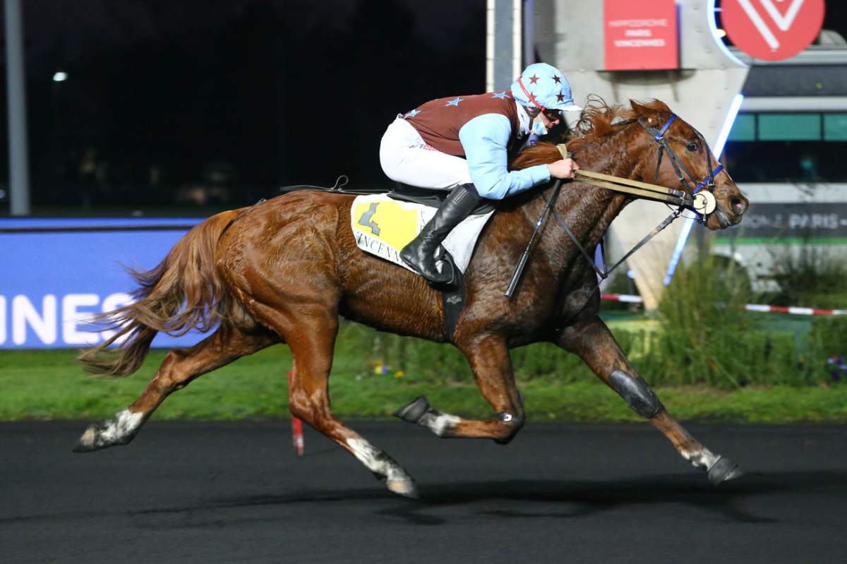 FLASH QUICK - La fiche CANALTURF du cheval, performances pmu, pédigré ...