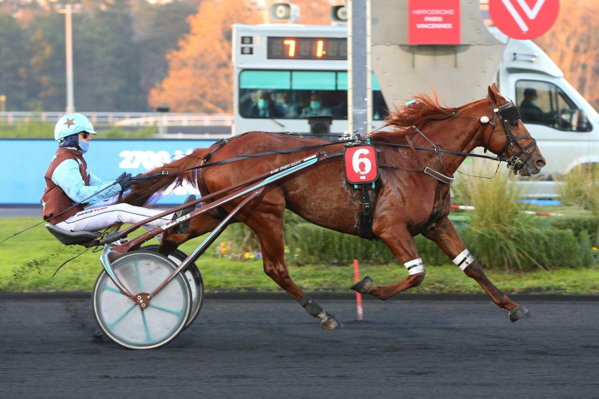 FUN QUICK - La fiche CANALTURF du cheval, performances pmu, pédigré ...