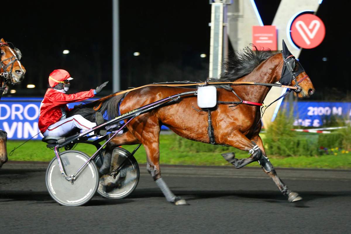 GALION - La fiche CANALTURF du cheval, performances pmu, pédigré ...