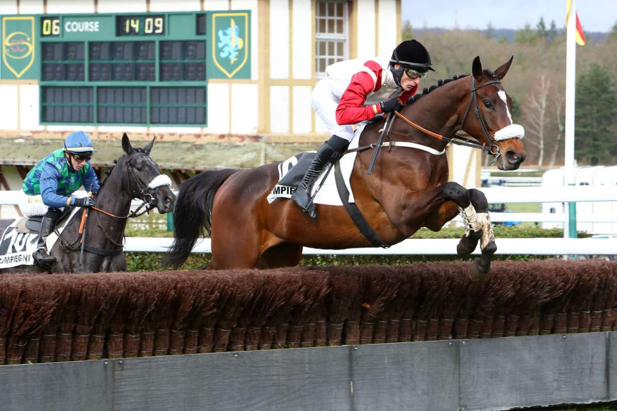 YES INDEED - La fiche CANALTURF du cheval, performances pmu, pédigré ...