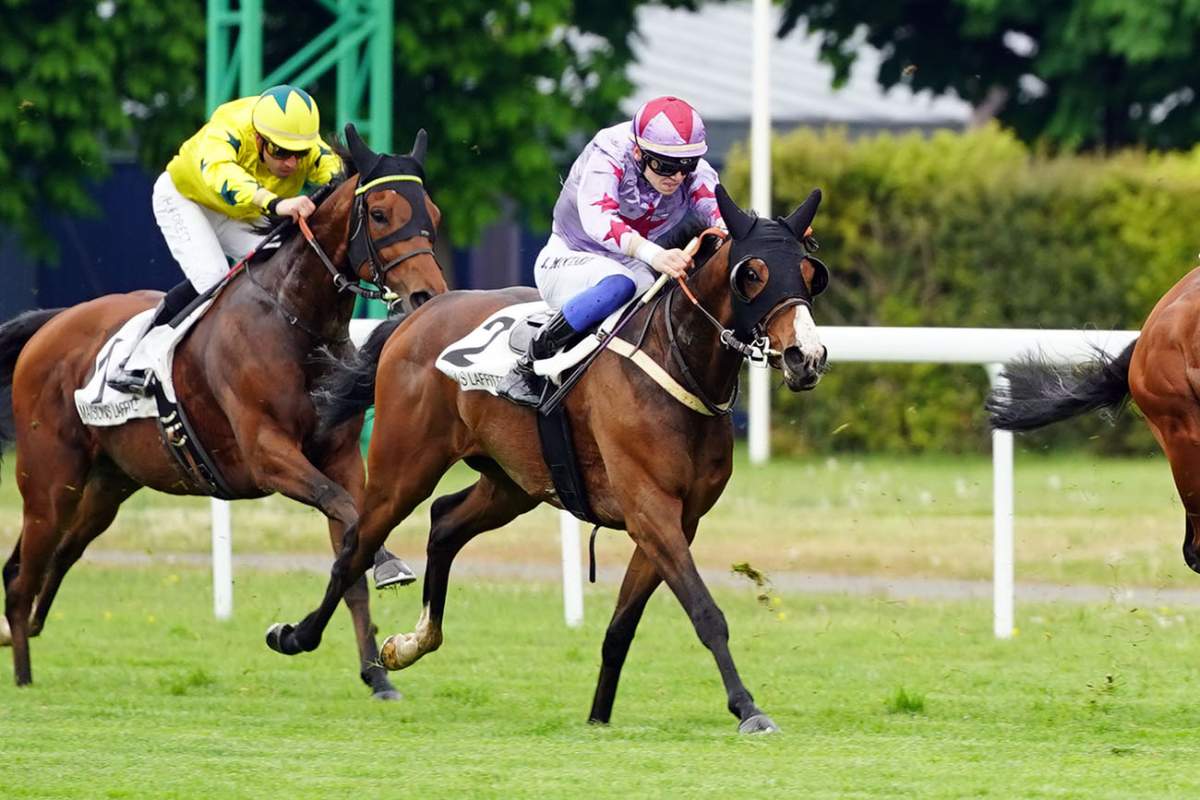 FULL SPIRIT - La fiche CANALTURF du cheval, performances pmu, pédigré ...