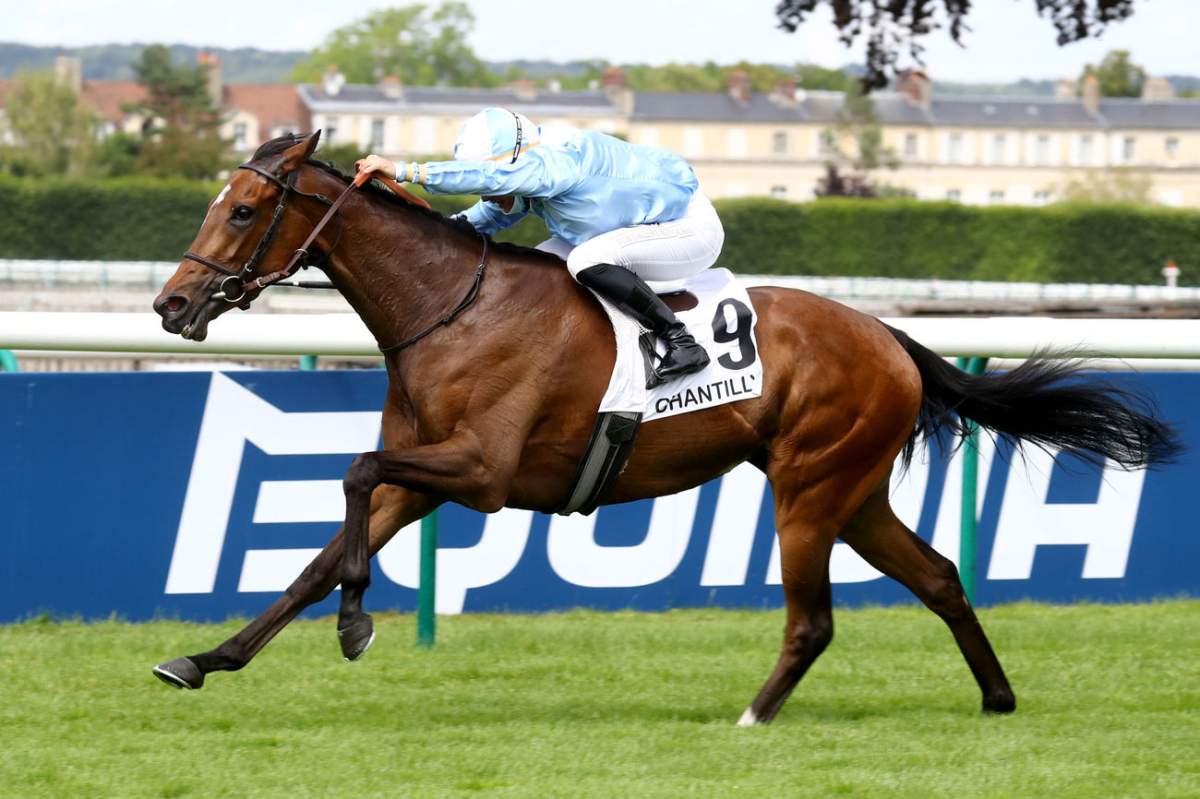 VAL FEX - La fiche CANALTURF du cheval, performances pmu, pédigré ...
