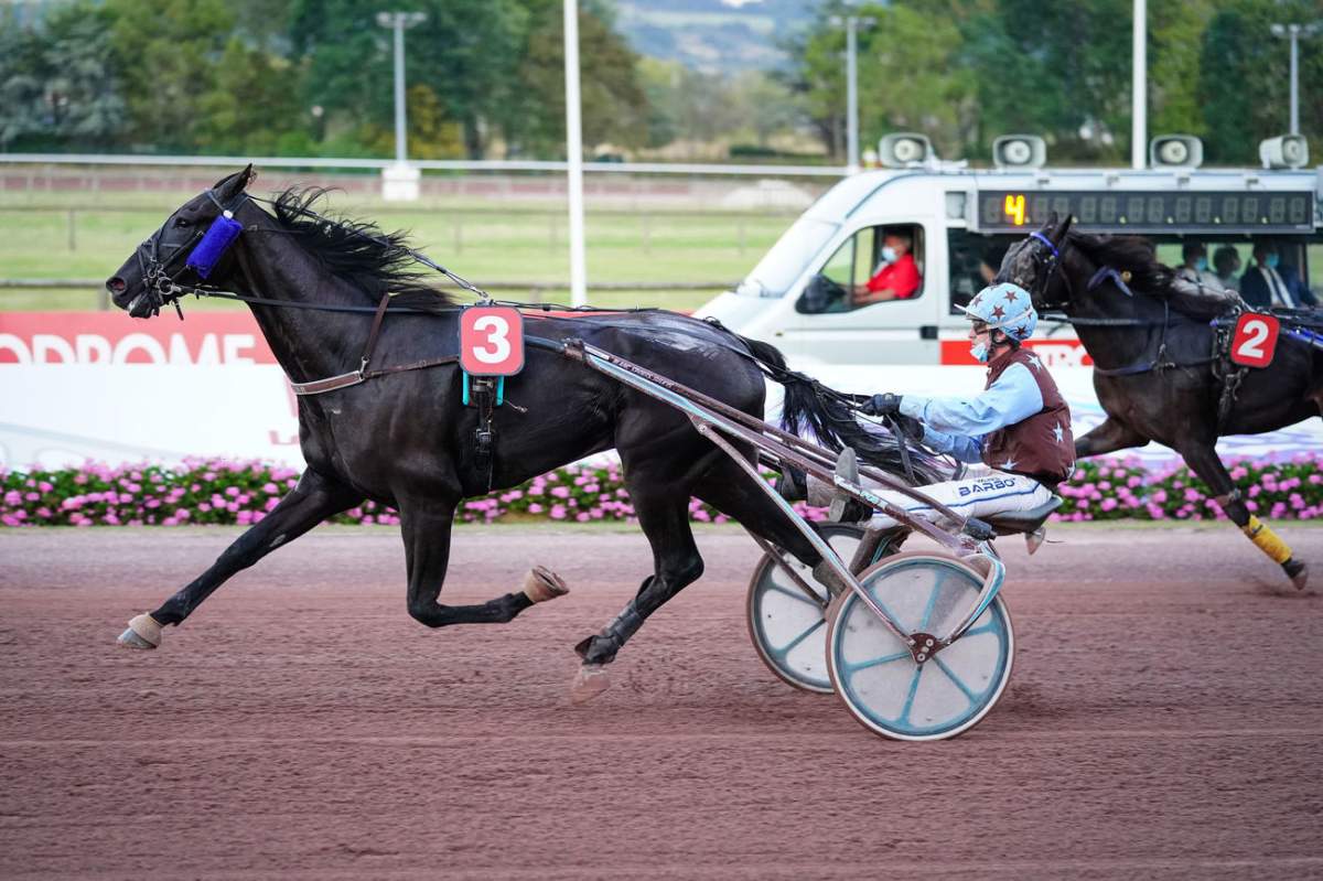 HEY QUICK - La fiche CANALTURF du cheval, performances pmu, pédigré ...
