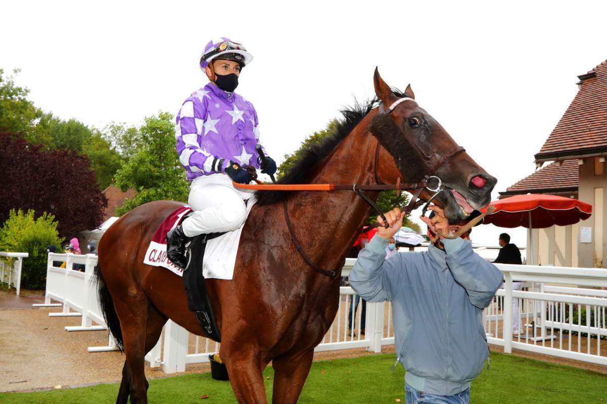 JAK COHIBA - La fiche CANALTURF du cheval, performances pmu, pédigré ...