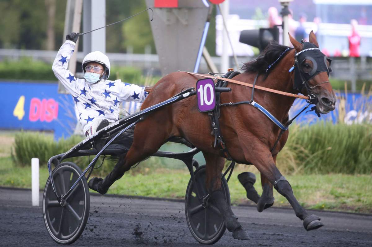 Pronostic gratuit du PRIX LABEL EQUURES - PRIX POMM'EQUID - 14 juin ...
