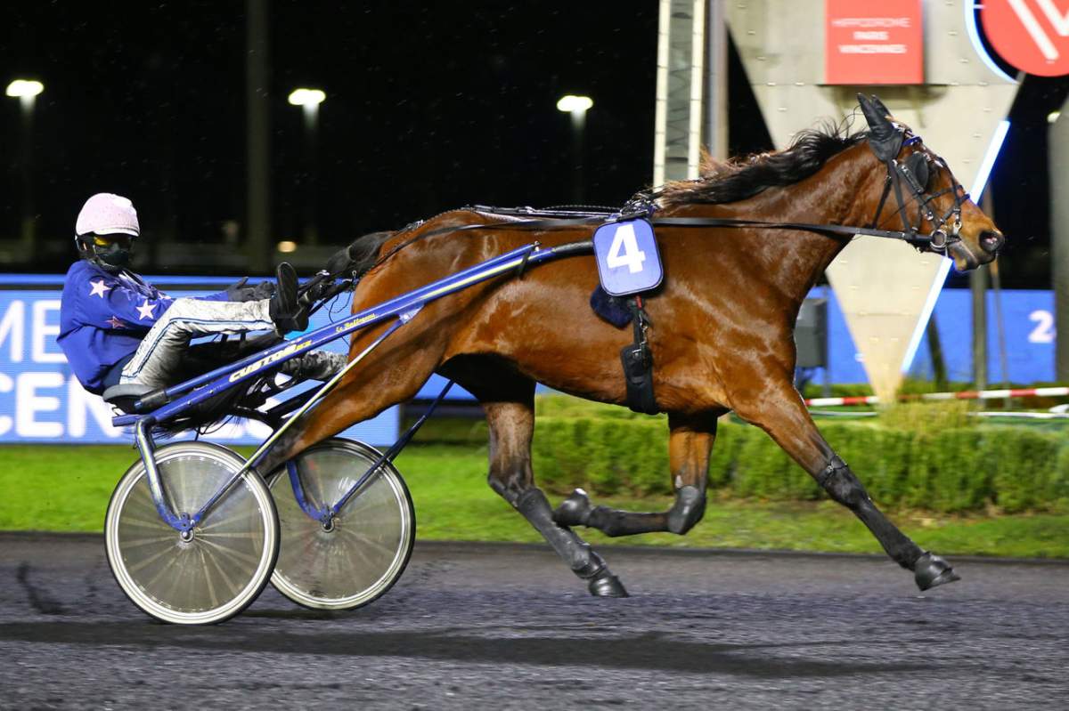 GALIE DE CELINIERE - La fiche CANALTURF du cheval, performances pmu ...