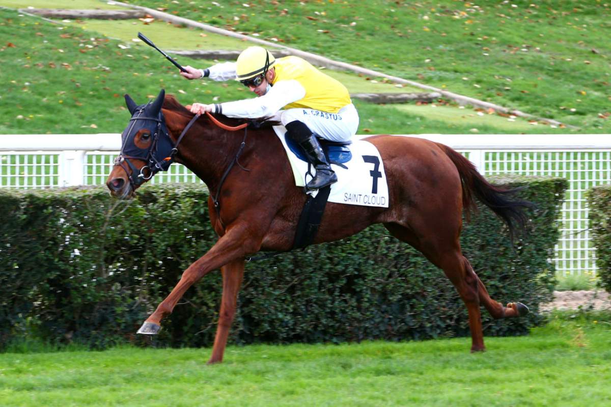 GALOVA - La fiche CANALTURF du cheval, performances pmu, pédigré ...