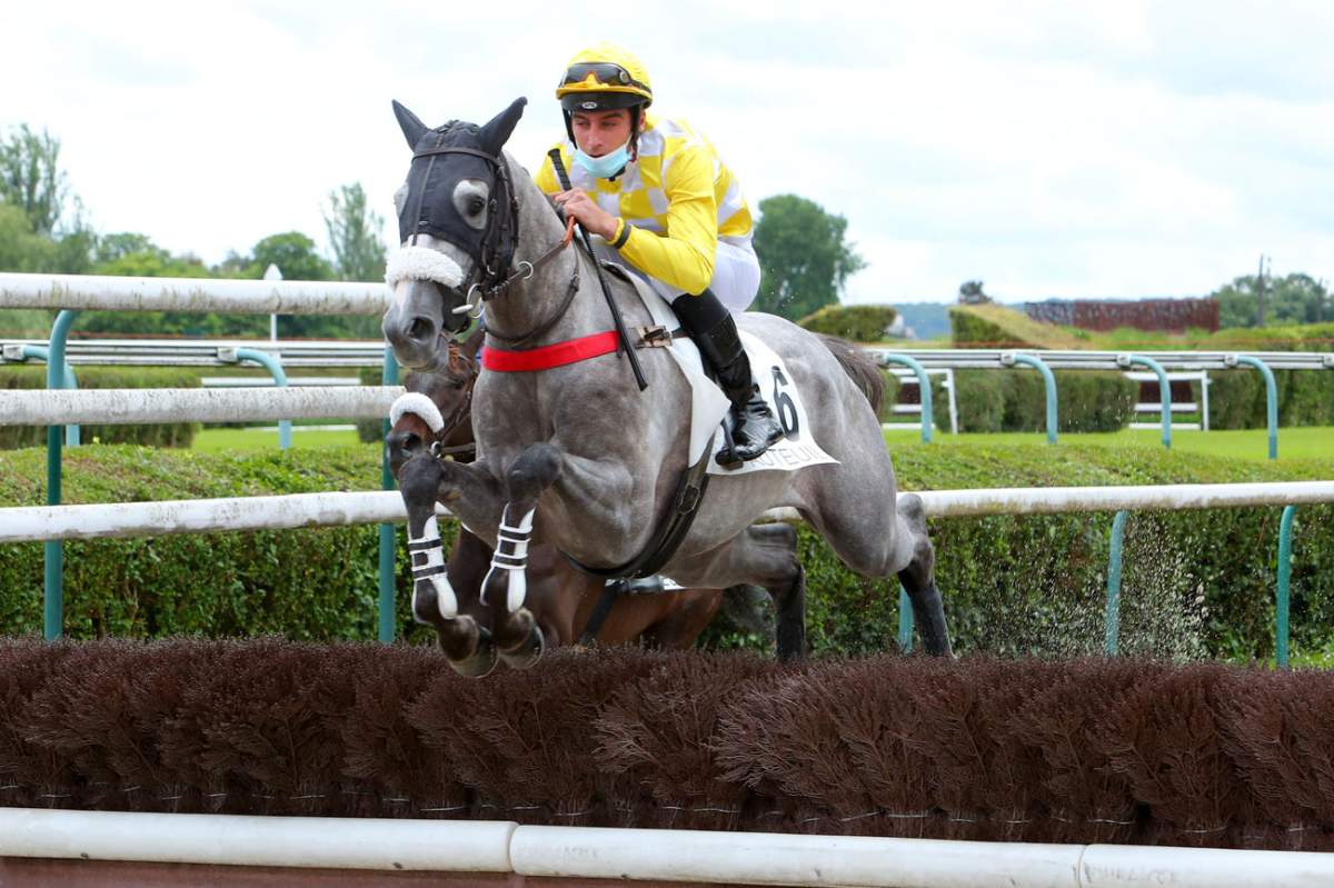 CUZCO DU MATHAN - La fiche CANALTURF du cheval, performances pmu ...