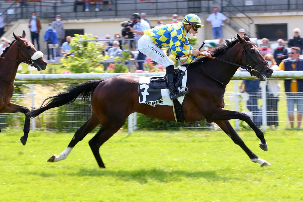 Pronostic gratuit du PRIX HIPPOCAMPUS - 2EME ETAPE DU DEFI DU GALOP ...