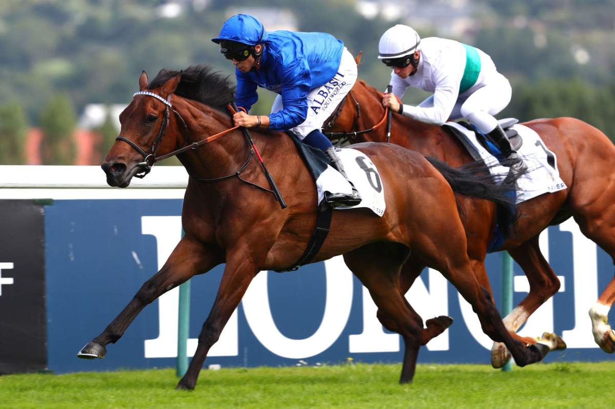 Arrivée PMU Grand Prix de Marseille - 15ème Etape du Defi du Galop ...